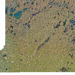 ArcGIS Web Application